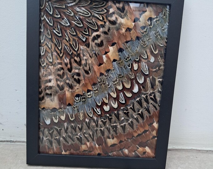 Pheasant Feather Framed Art. Wall Decor 9 X 11 Photo - Etsy