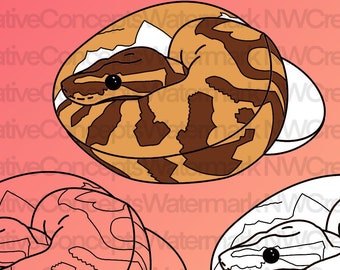 Ball Python Svg - Etsy