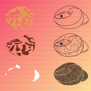 Snake SVG, Piebald Ball Python Snake SVG & PNG Download - Etsy