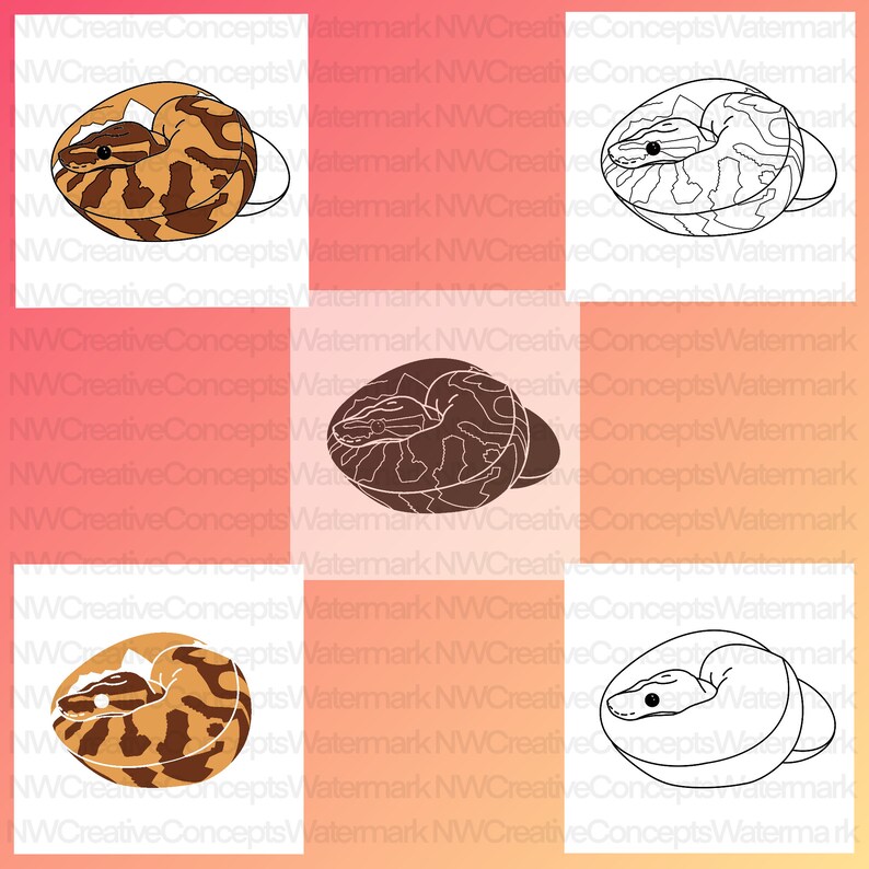 Snake SVG, Piebald Ball Python Snake SVG & PNG Download - Etsy
