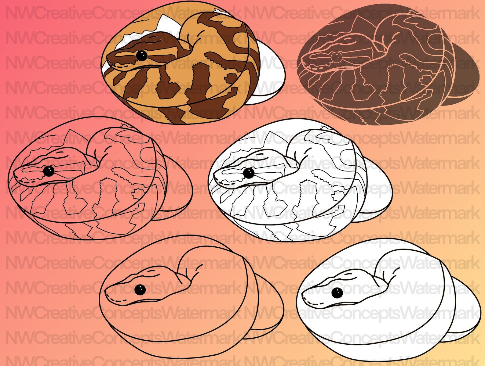 Snake SVG, Piebald Ball Python Snake SVG & PNG Download - Etsy