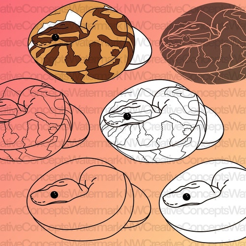 Snake SVG Piebald Ball Python Snake SVG & PNG Download - Etsy