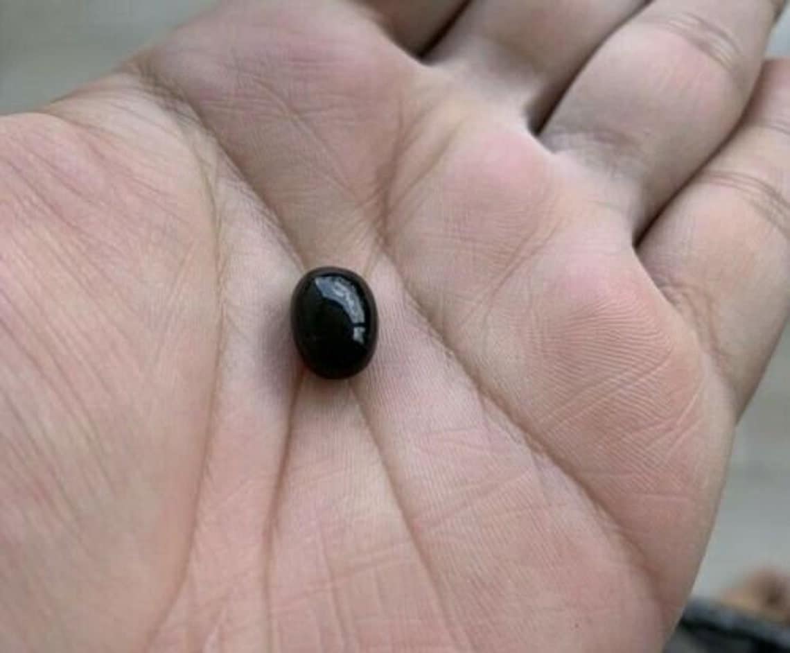 King Cobra Pearl | Cobra Stone Nagamani | King Cobra Snake Pearl ...