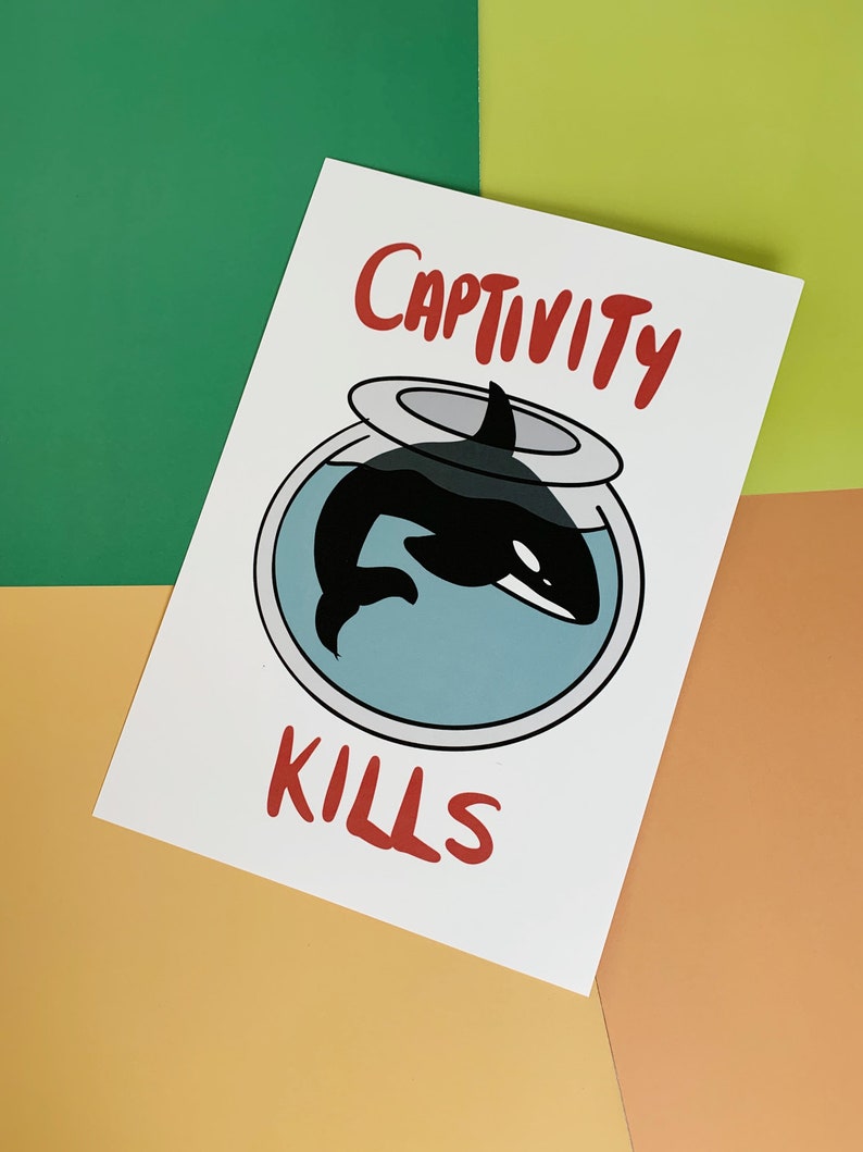 Captivity Kills Vegan Art Print Anti-Seaworld Activism | Etsy