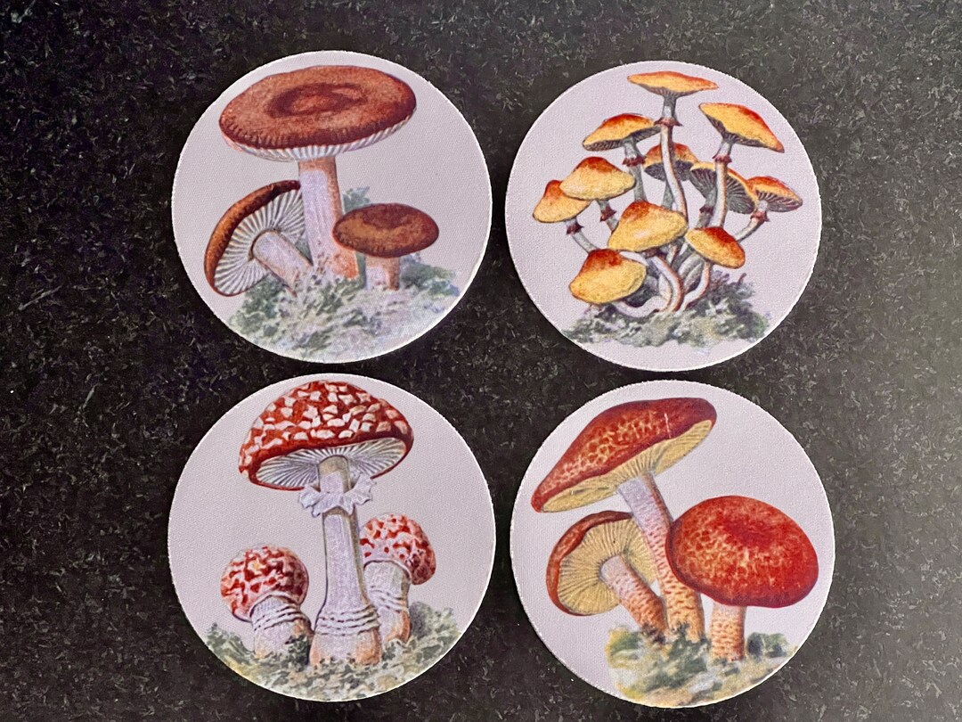 Vintage Mushrooms Coasters Set of 4, Mushrooms, Vintage Coasters ...