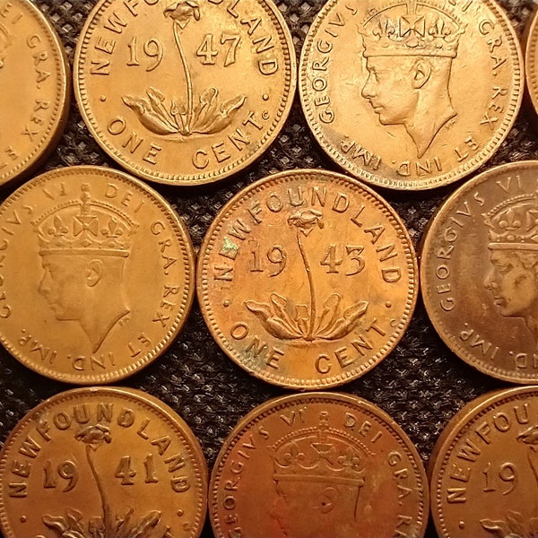 Newfoundland Coin - Etsy