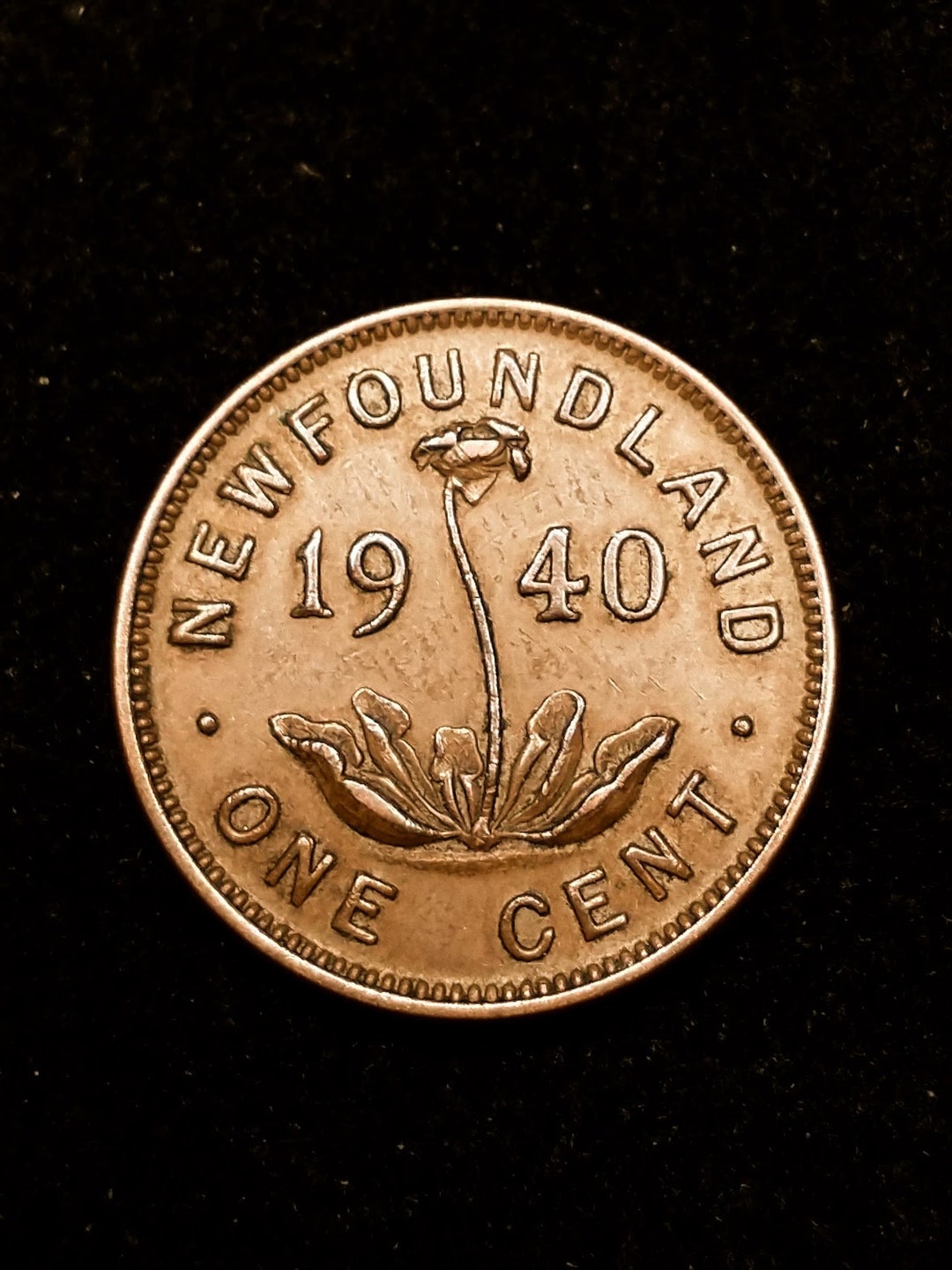 Newfoundland 1940 Penny. Grade: Extremely Fine. Select Which Coin You ...
