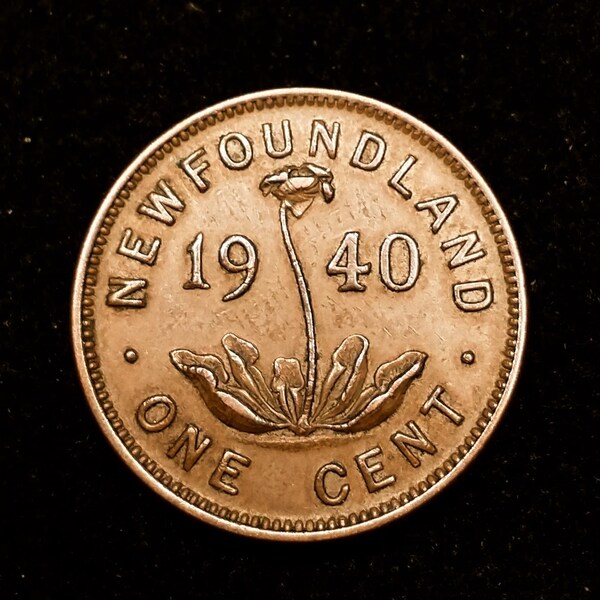 Newfoundland Coin - Etsy