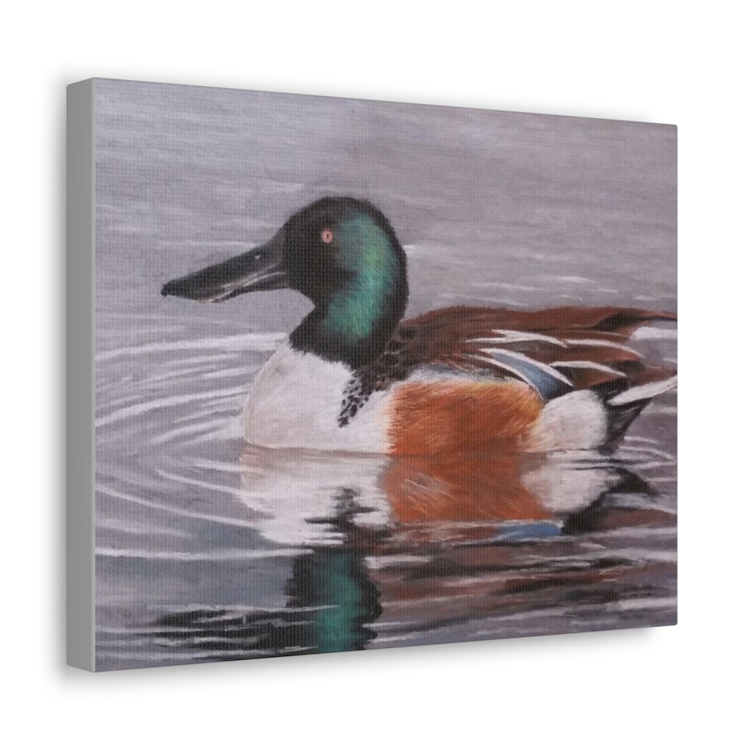 Shovel Bill Duck Pastel Drawing by Carl Lang 14x11 Printed on - Etsy