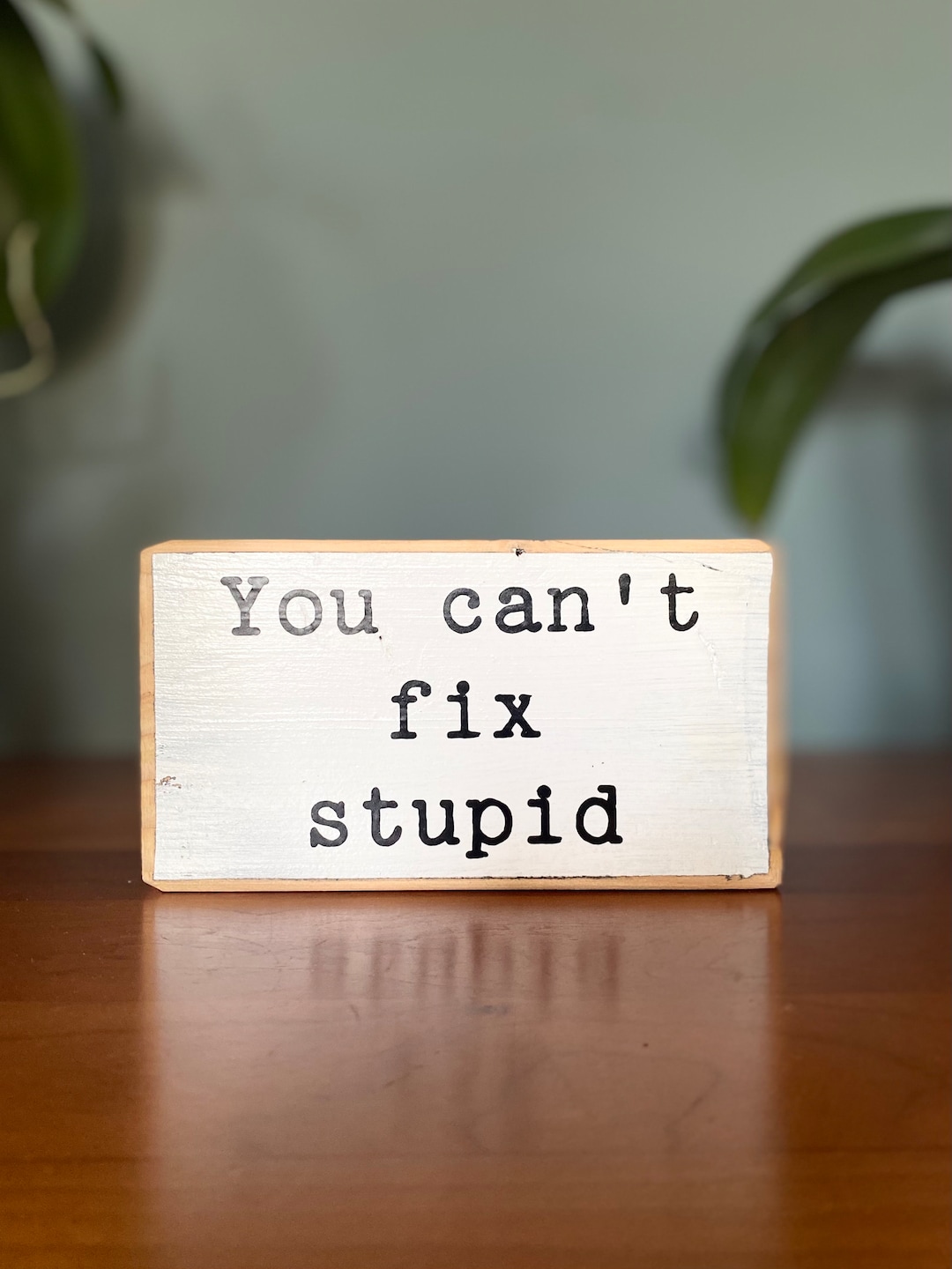You Can't Fix Stupid Office Desk Wood Sign Wooden Shelf Sitter Cubicle ...