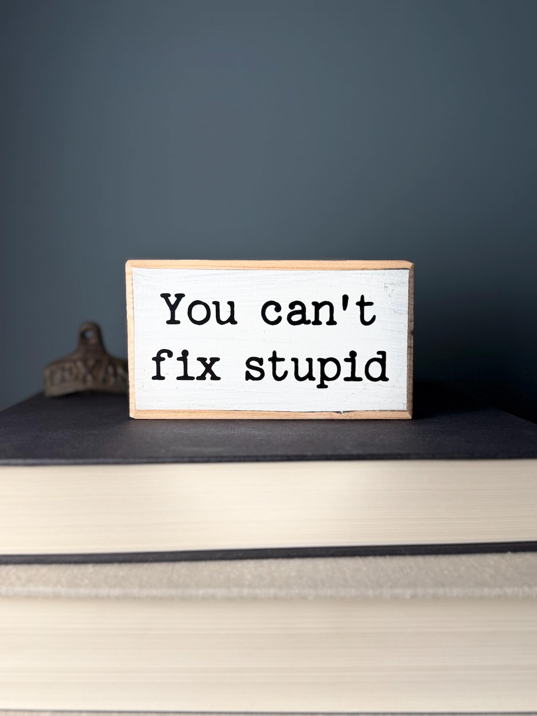 Funny Wood Desk Sign - You Can't Fix Stupid, Cubicle Decor - Etsy