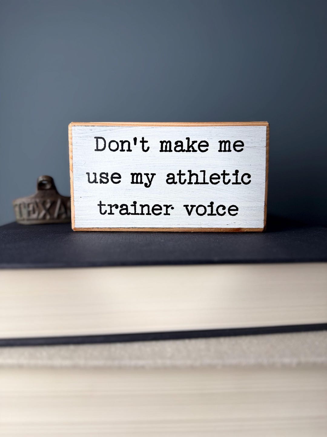 Athletic Trainer Gift - Funny Office Desk Wood Sign - Etsy