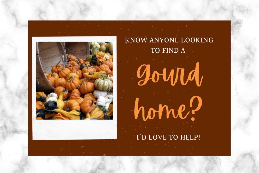 Real Estate Fall Pop by Tag | Find a Gourd Home | Real Estate Marketing ...