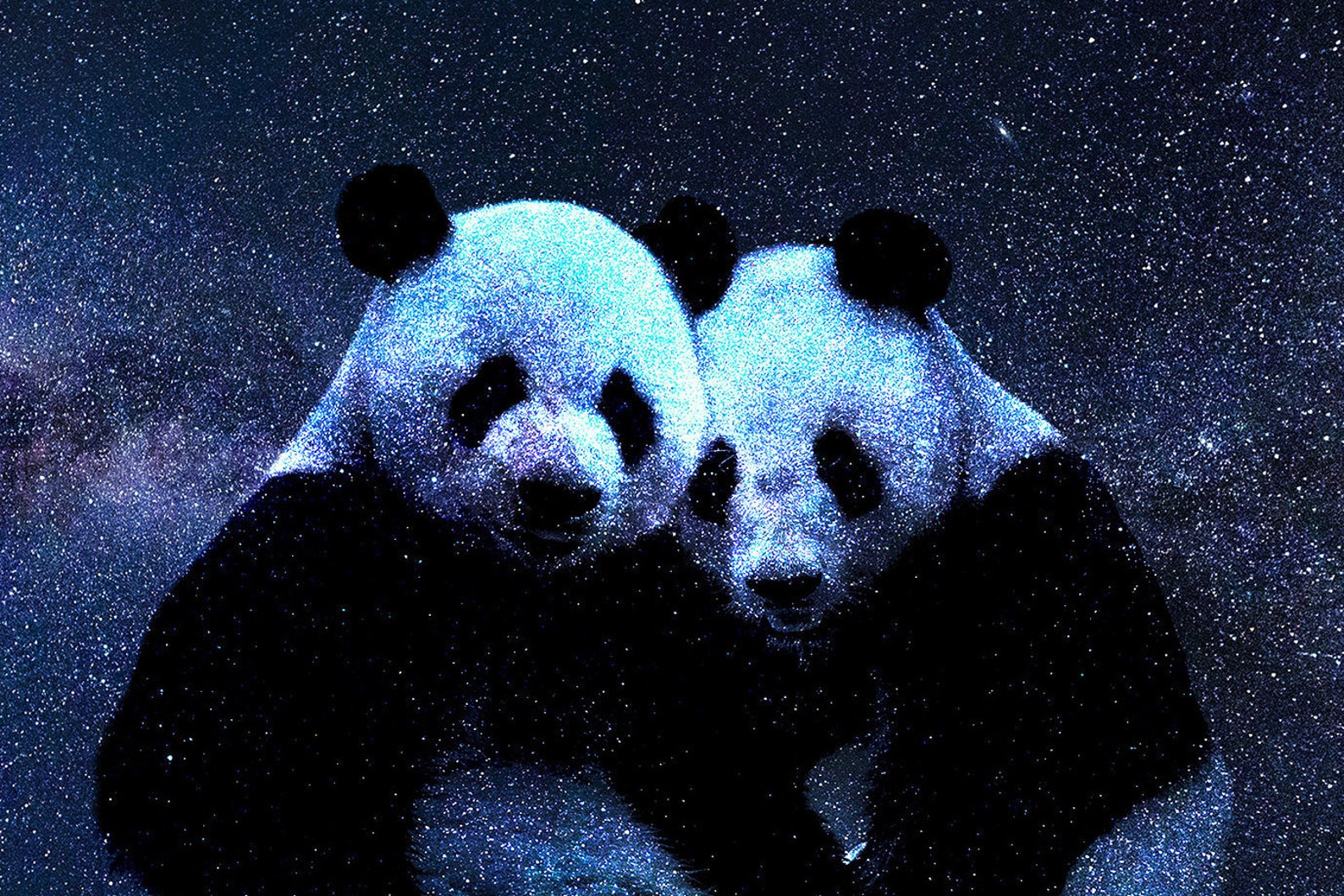 Panda Love, Cosmic Pandas, Printable Poster, Valentine's Day, Space ...