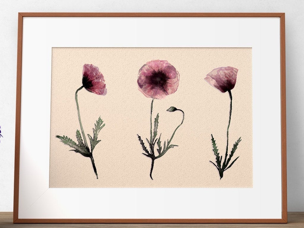 Printable Poppy Flowers, Digital Poster, Instant Download, Herbarium ...