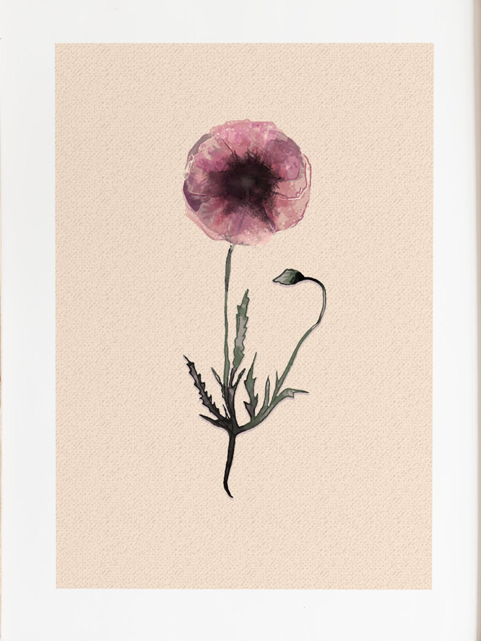 Printable Poppy Flower_2 Digital Poster Instant Download - Etsy