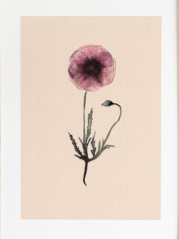 Prints Floral A3 Printable Wall Art Poppy Flower Digital Download Print ...