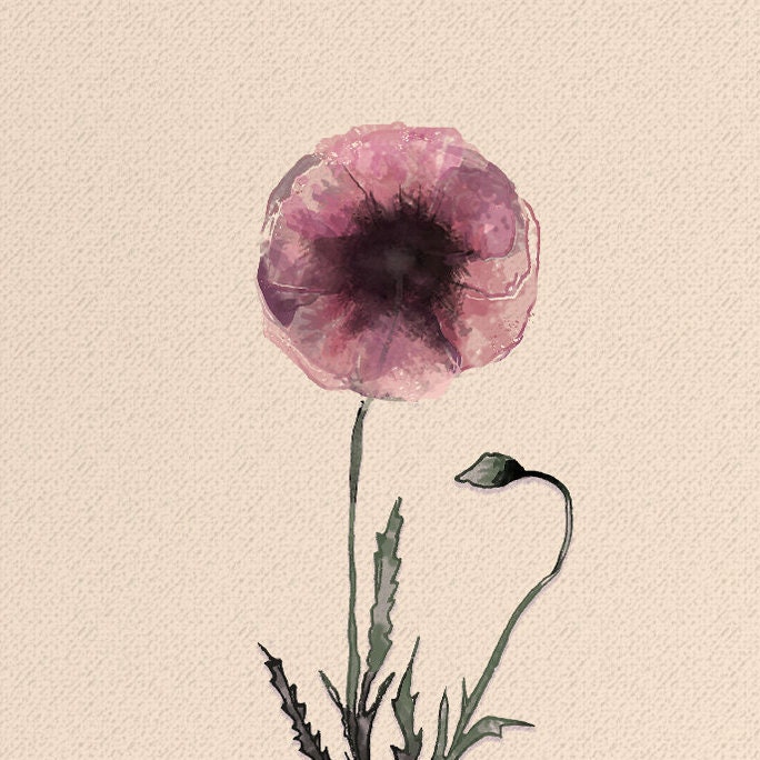 Printable Poppy Flower_2 Digital Poster Instant Download | Etsy