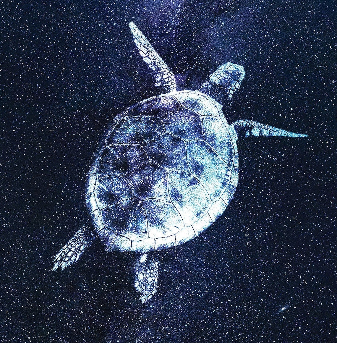 Cosmic Turtle Printable Poster Turtle Space Stars Digital - Etsy