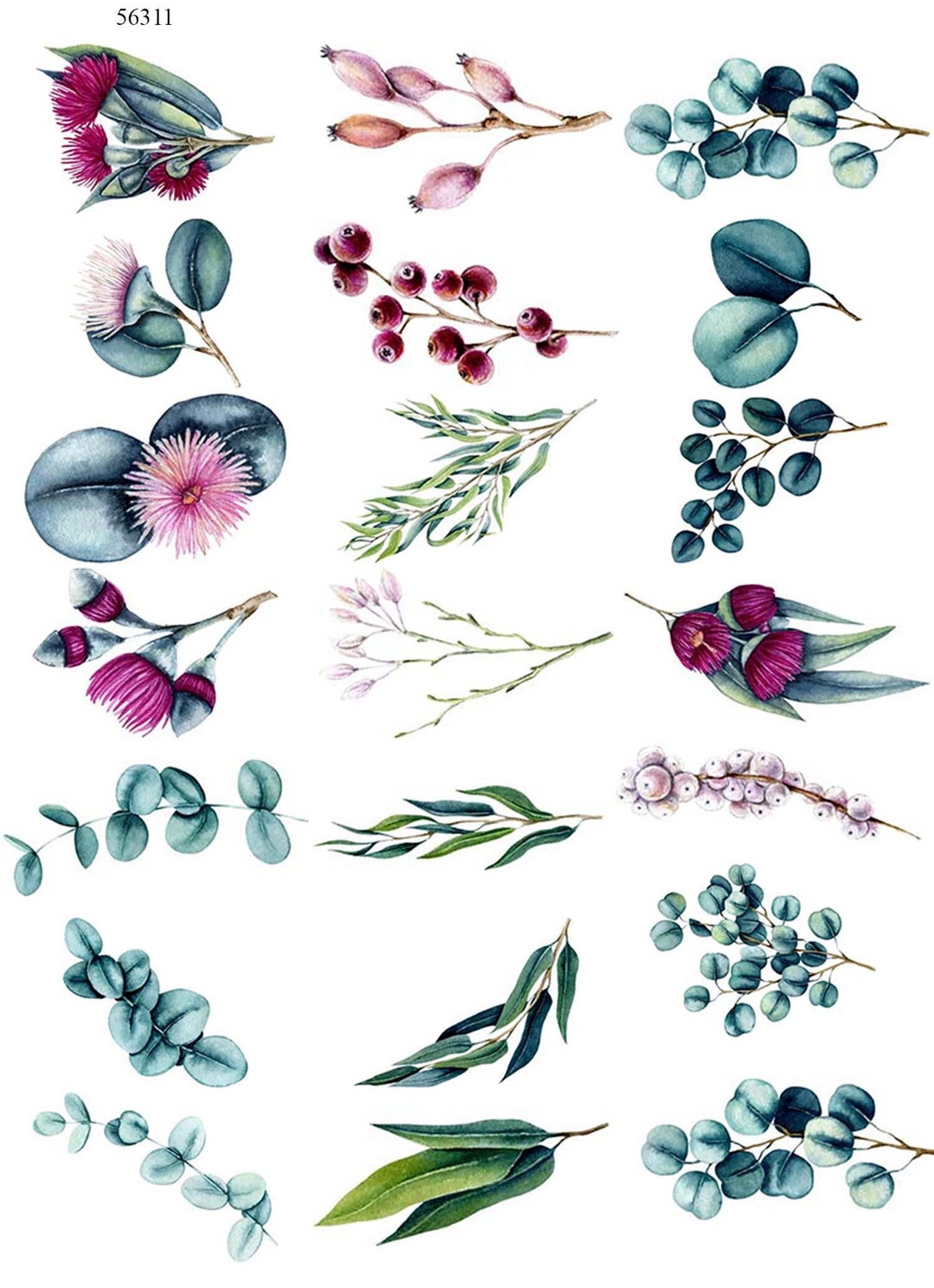 Waterslide Decal Clear Ready to Use Watercolor Eucalyptus W56311 - Etsy
