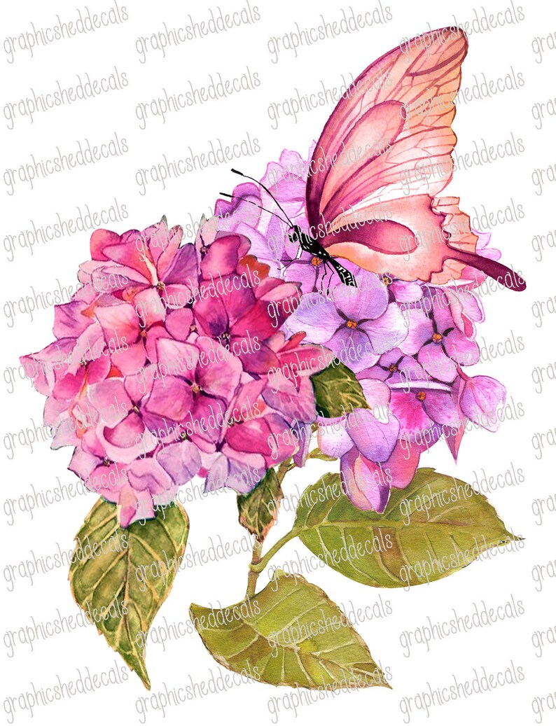 Butterfly & Hydrangeas Beautiful Flower Images Waterslide - Etsy
