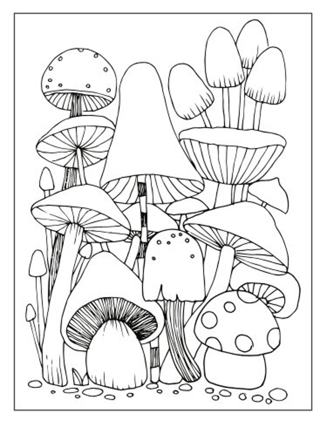 100 High Quality Adult Coloring Pages - Etsy