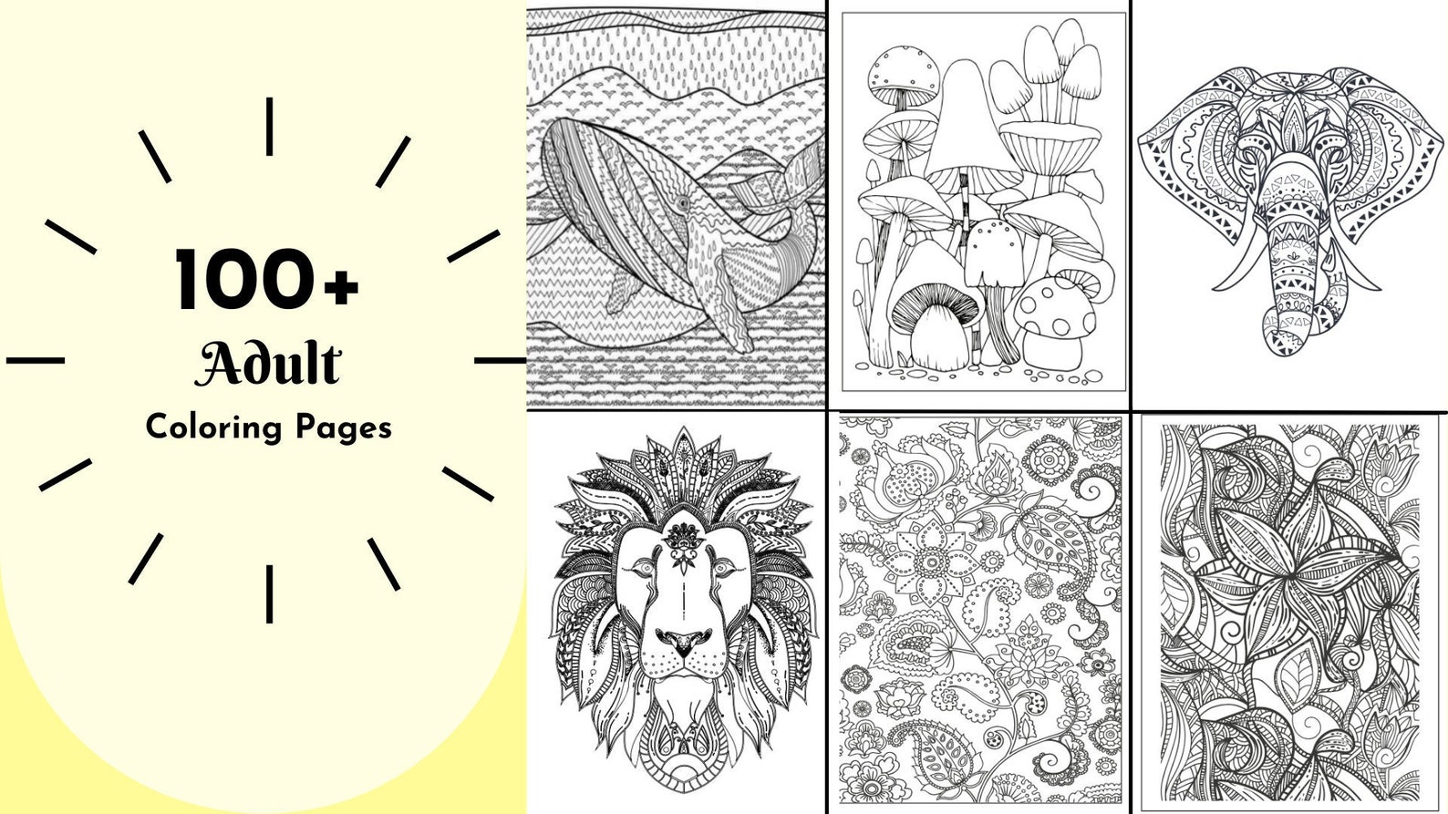 100 High Quality Adult Coloring Pages - Etsy