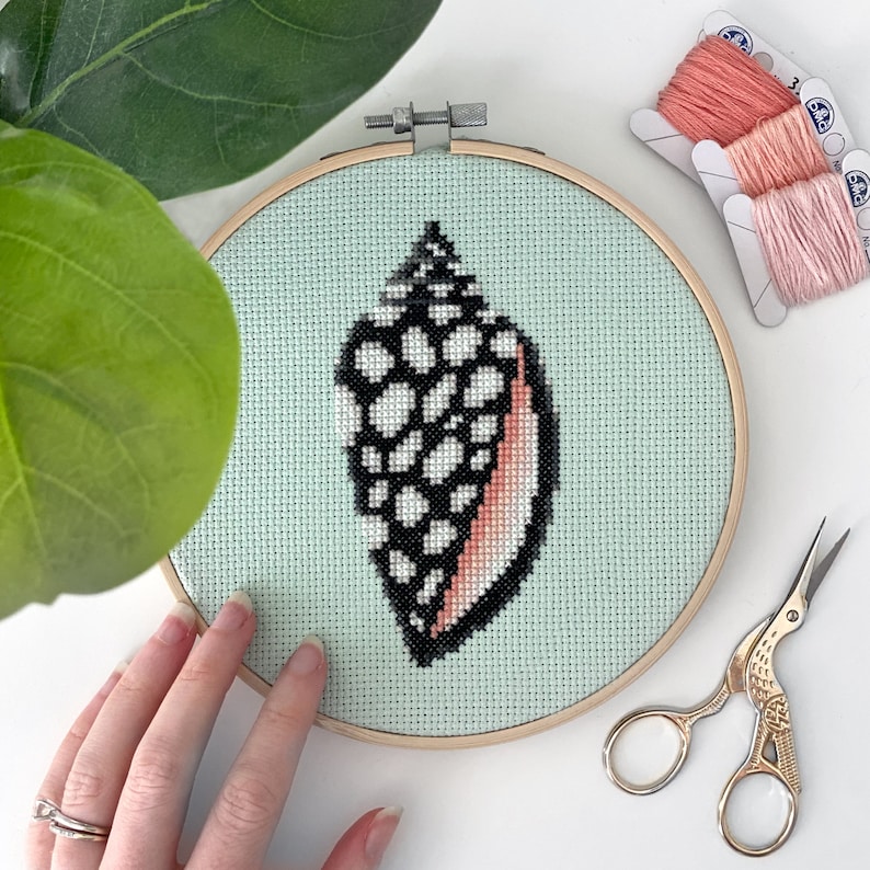 Tropical Shell Cross Stitch Pattern | Etsy