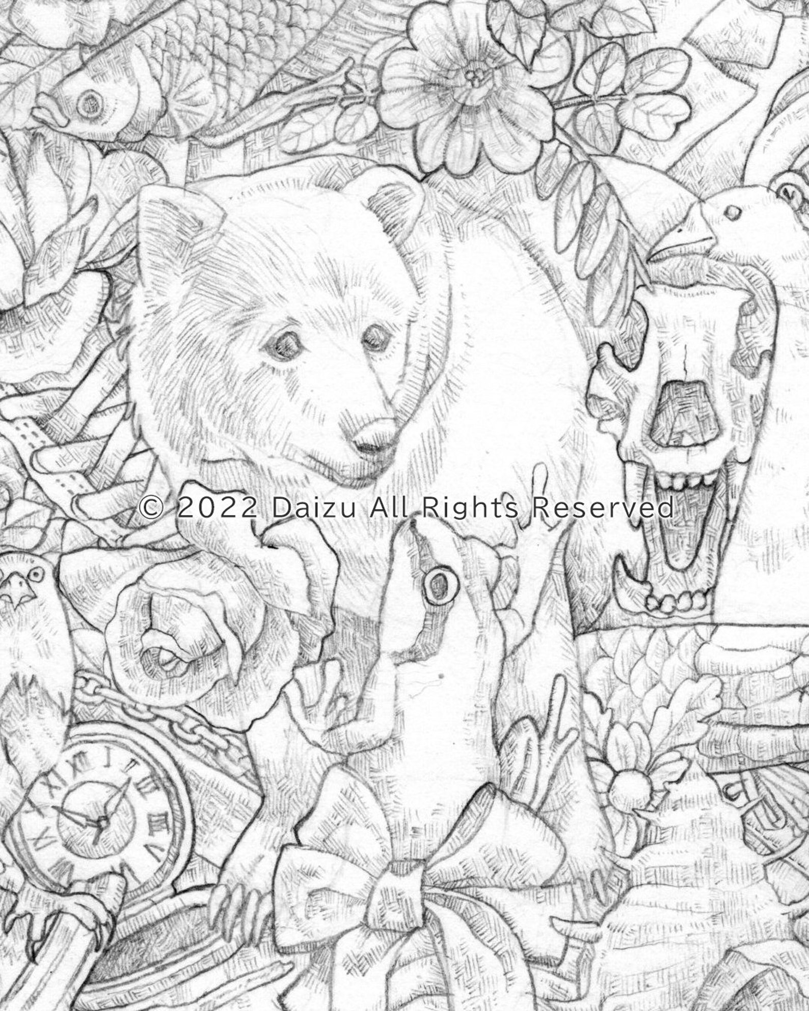 Coloring Pages for Adults Adult Coloring Pages Cat Line Art ...