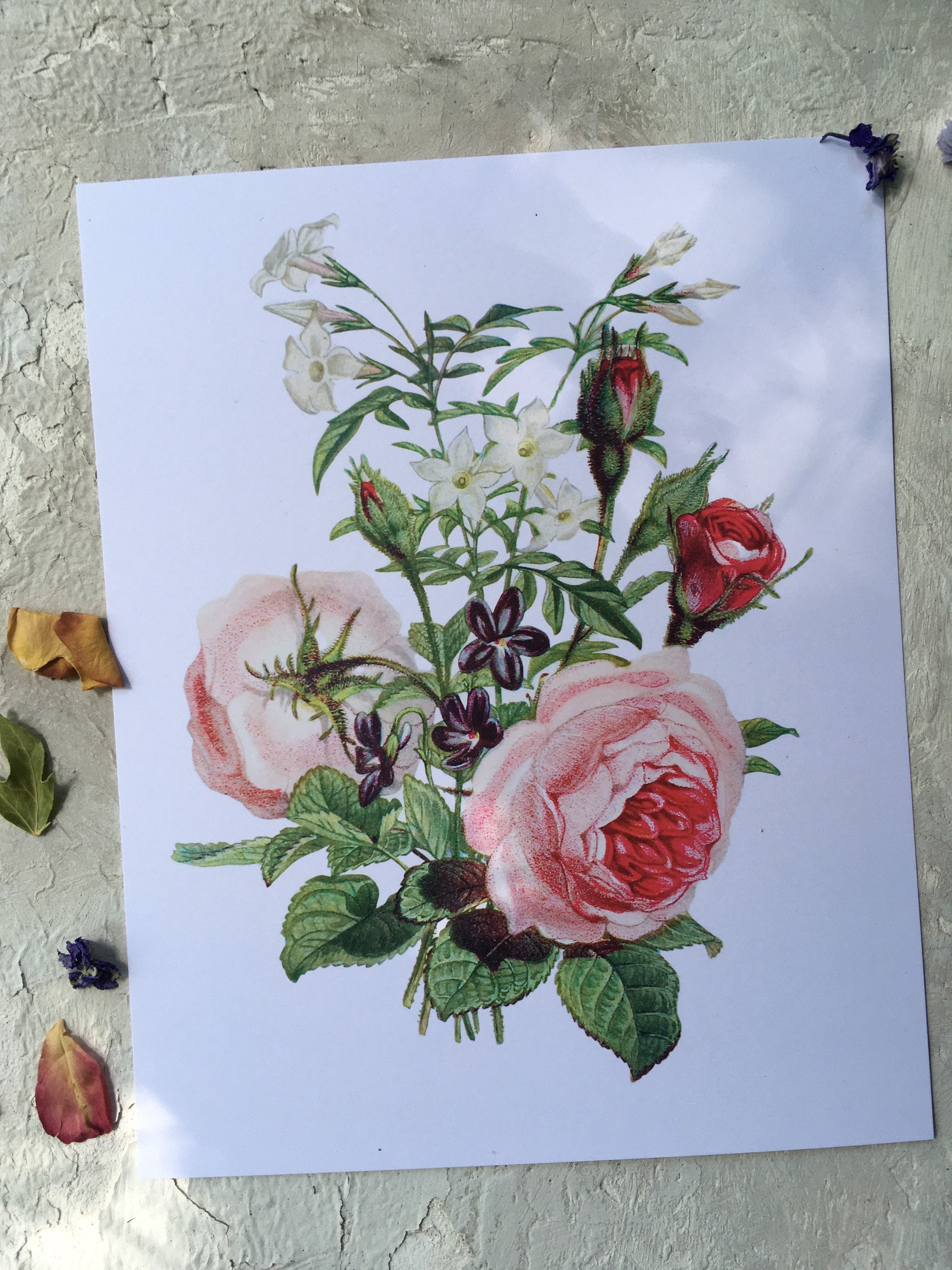 Vintage rose bouquet print Rose flower art pink floral | Etsy