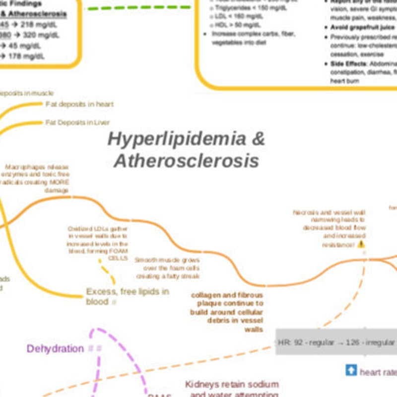 Pathophysiology Charts - Etsy
