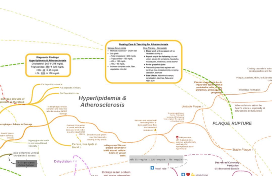 Nursing Study Guide - Pathophysiology Flow Sheet - Etsy