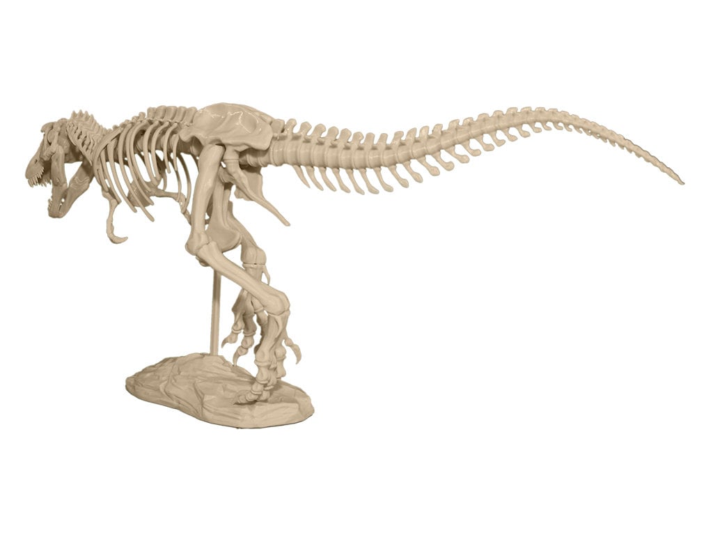 Big 3D Printed T Rex Skeleton Assembly Kit 25" Large - Etsy