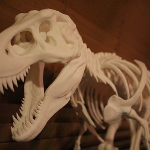 Big 3D Printed T Rex Skeleton Assembly Kit 25" Large - Etsy