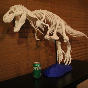 Big 3D Printed T Rex Skeleton Assembly Kit 25" Large - Etsy