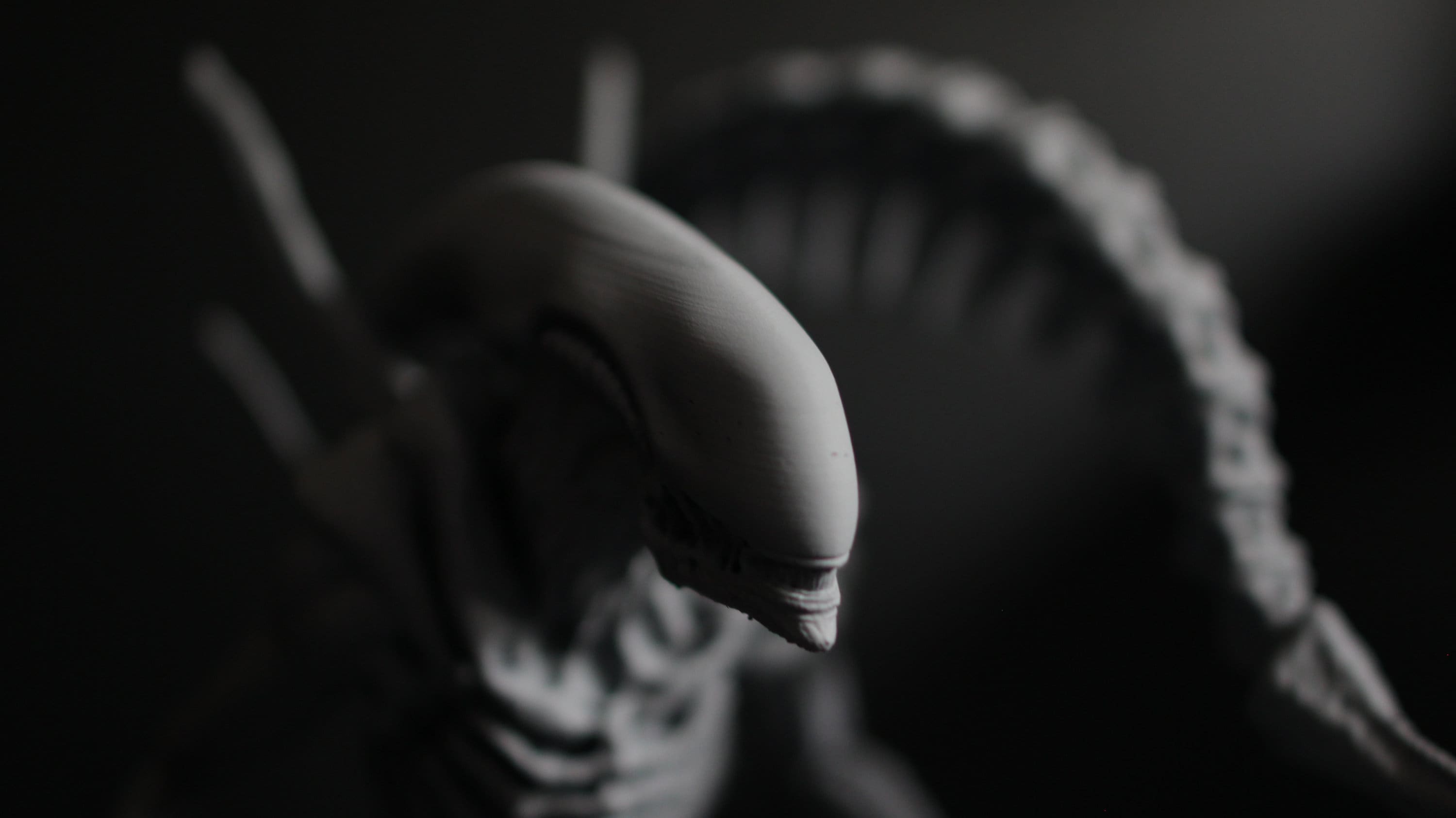Alien Xenomorph Angry 3D Print Model Kit - Etsy