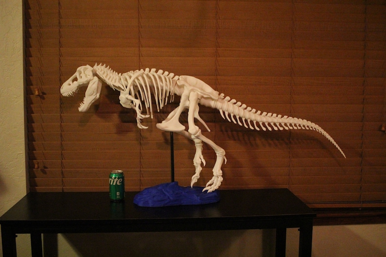 Big 3D Printed T Rex Skeleton Assembly Kit 25" Large - Etsy