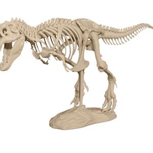 Big 3D Printed T Rex Skeleton Assembly Kit 25" Large - Etsy