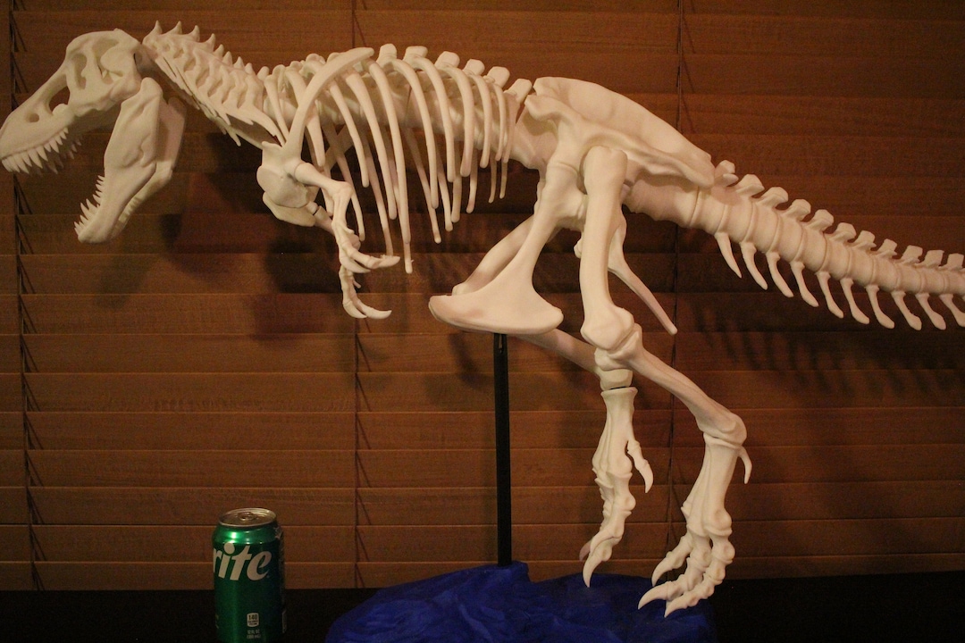 Big 3D Printed T Rex Skeleton Assembly Kit 25" Large - Etsy