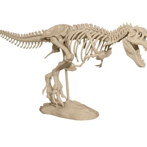 Big 3D Printed T Rex Skeleton Assembly Kit 25" Large - Etsy
