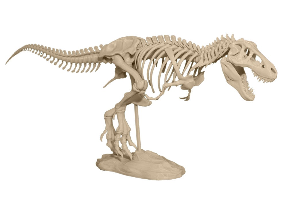 Big 3D Printed T Rex Skeleton Assembly Kit 25 Large - Etsy