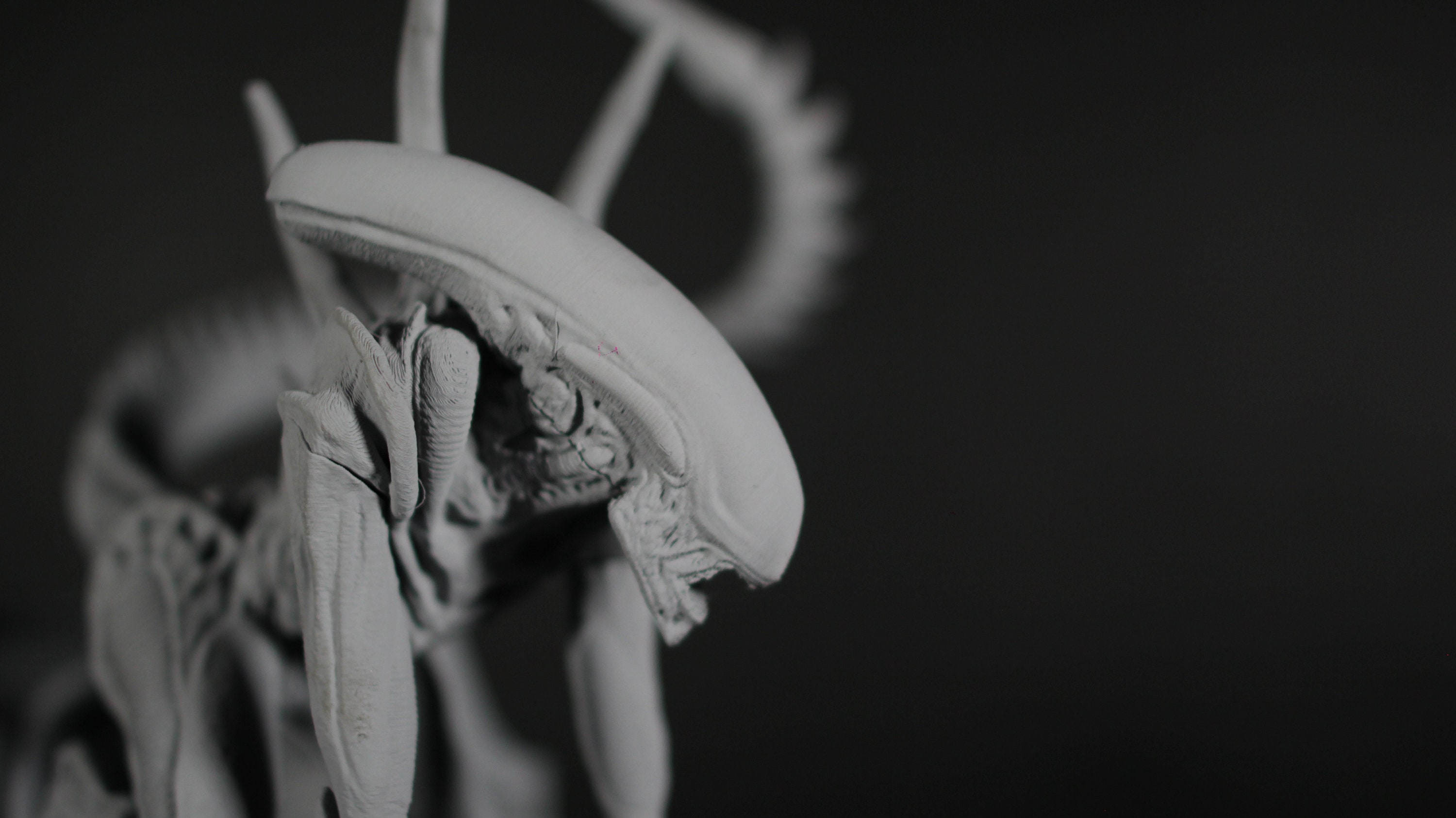 Alien Xenomorph on Sewer Escape 3D Printed - Etsy