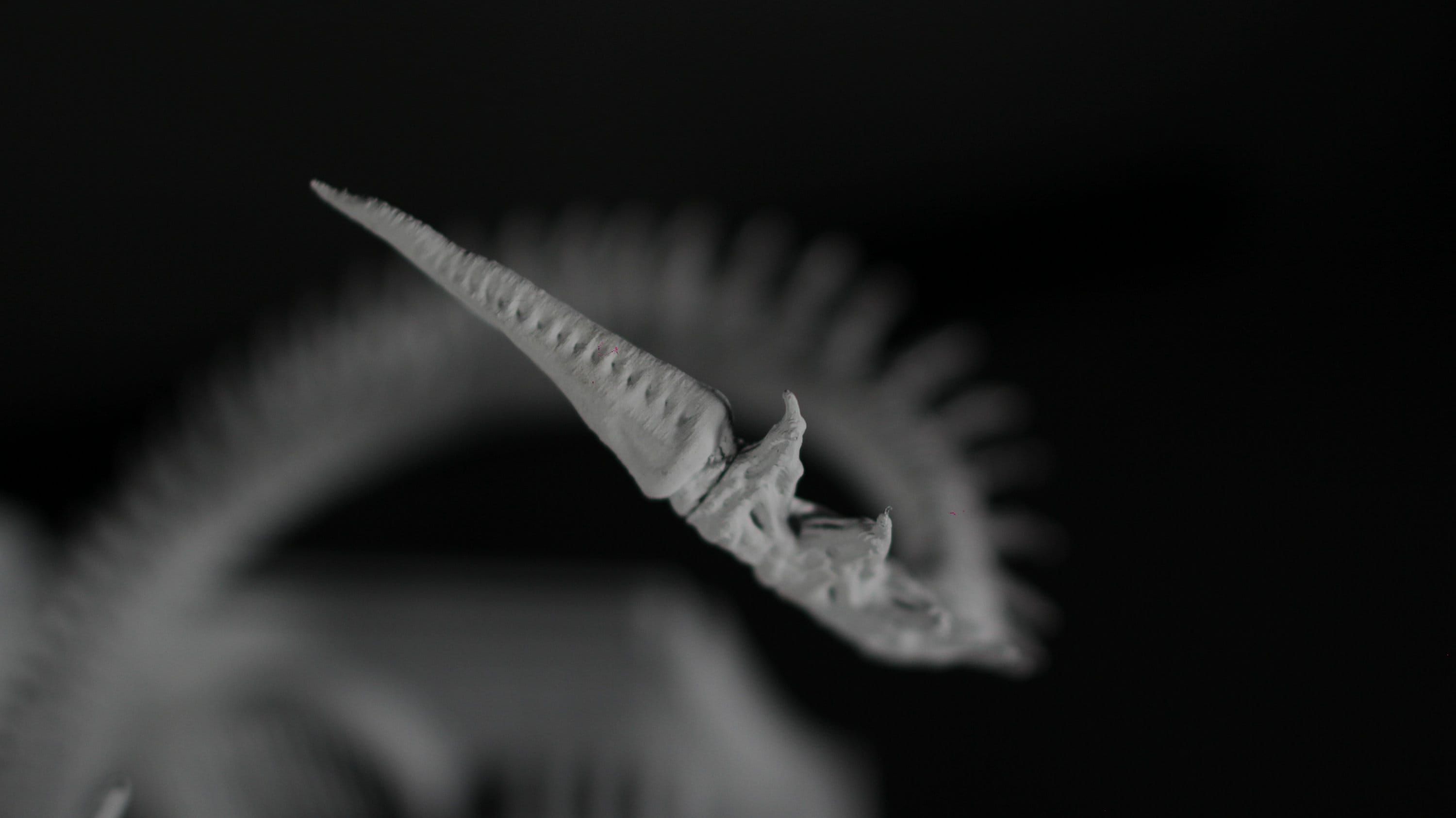 Alien Xenomorph on Sewer Escape 3D Printed - Etsy