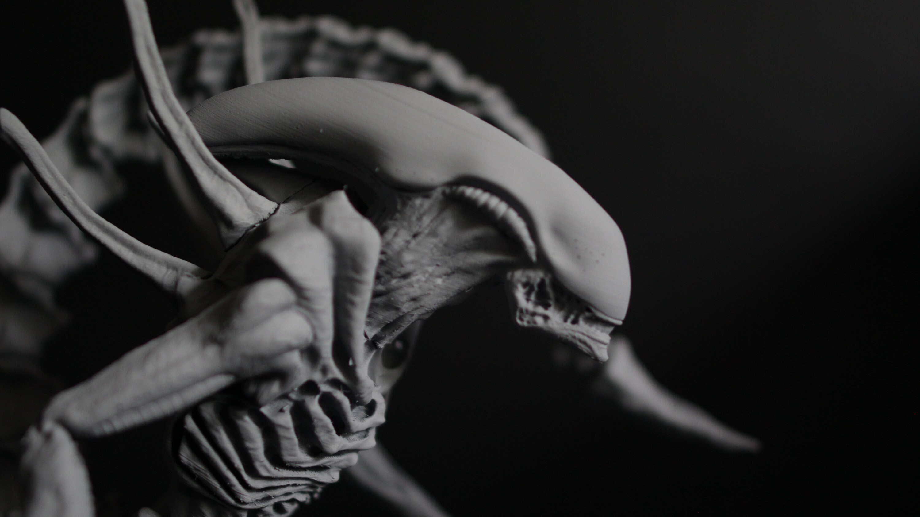 Alien Xenomorph Angry 3D Print Model Kit - Etsy