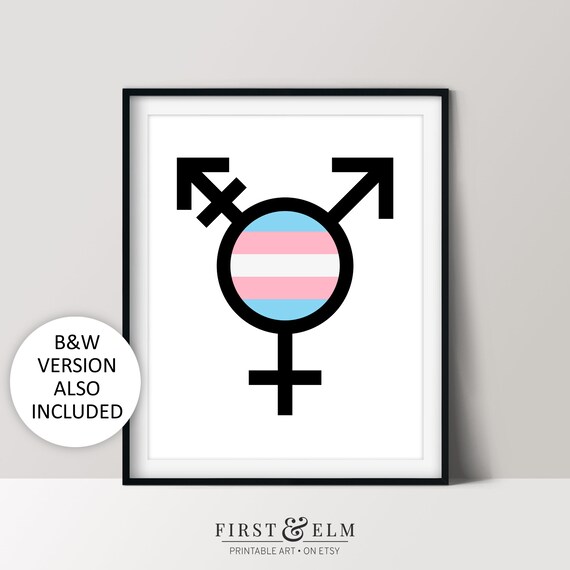 Transgender Symbol Minimalist Home Decor Trans Pride Colors | Etsy Canada