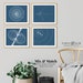 Planet Orbits Poster, Solar System Print, Space Themed Room, Printable ...