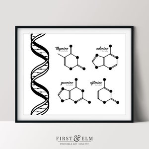 DNA Strand and Molecules Poster, Science Teacher Gift, Nerdy Home Decor ...
