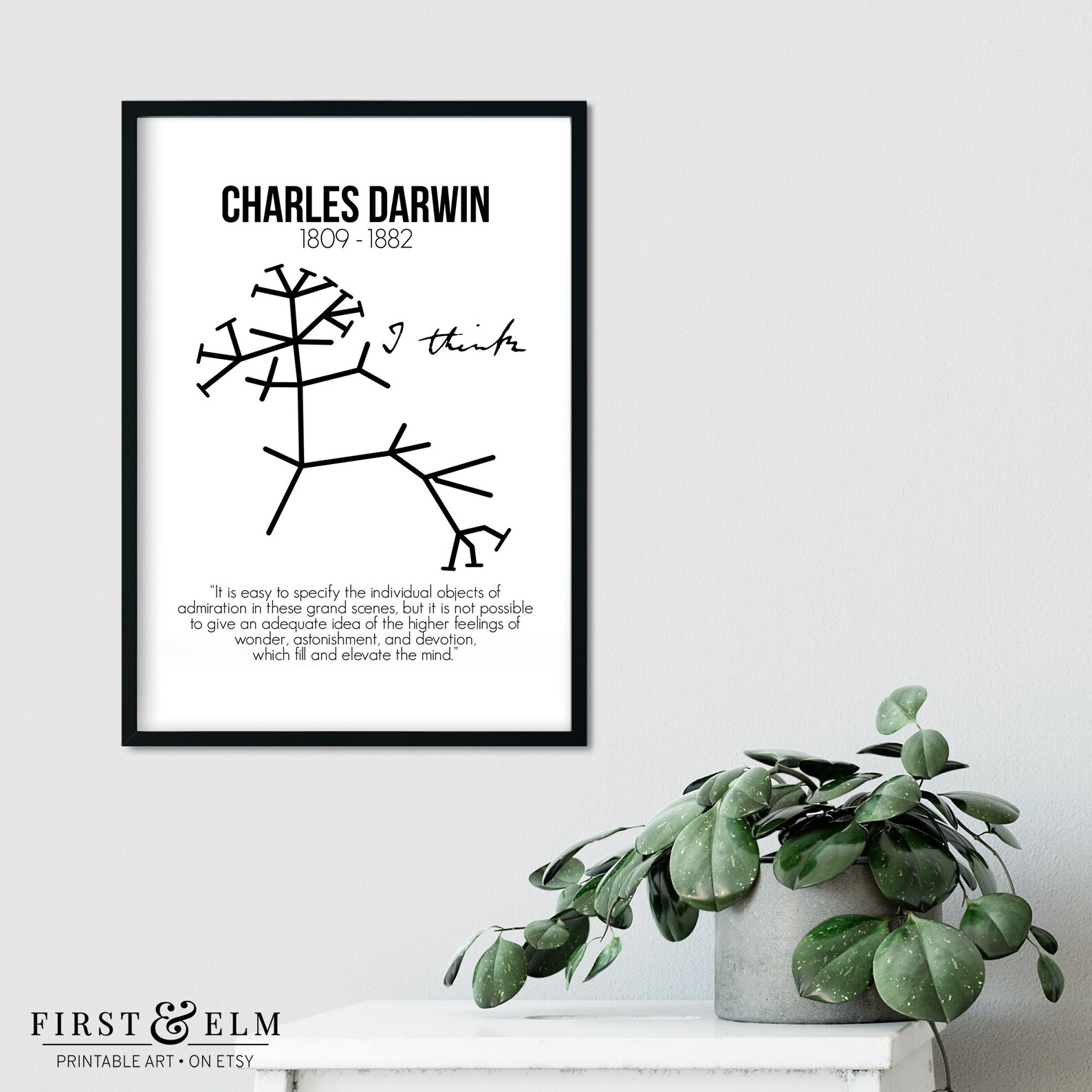Charles Darwin Print Tree of Life Drawing Nerdy Home Décor - Etsy