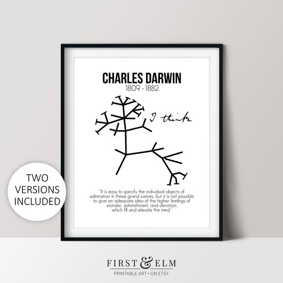 Charles Darwin Print Tree of Life Drawing Nerdy Home Décor | Etsy