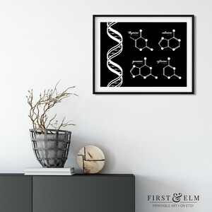 DNA Strand and Molecules Poster, Science Teacher Gift, Nerdy Home Decor ...